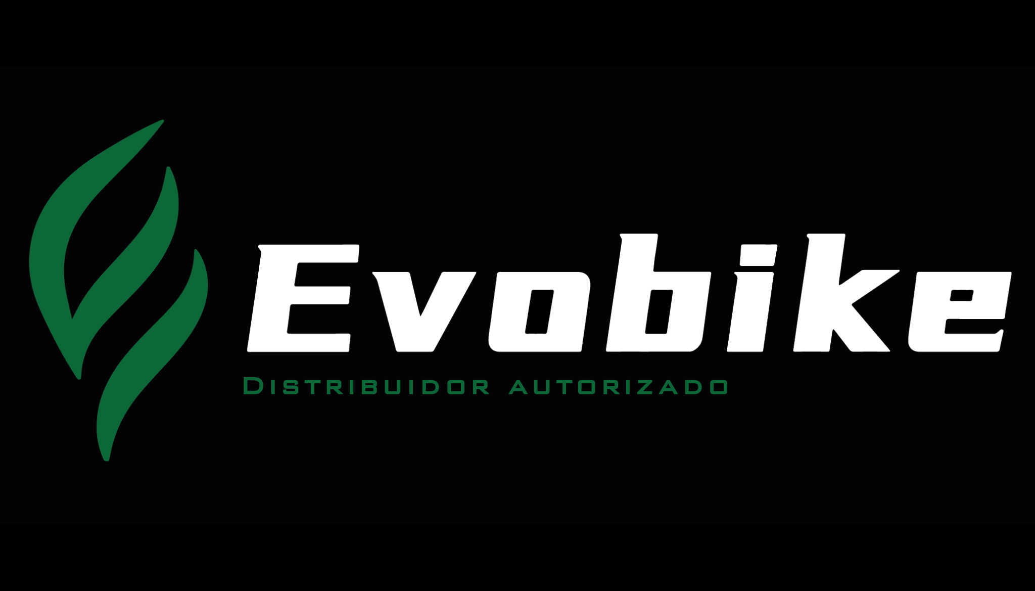 Triciclo eléctrico de Carga CARGO – Evobike Monterrey